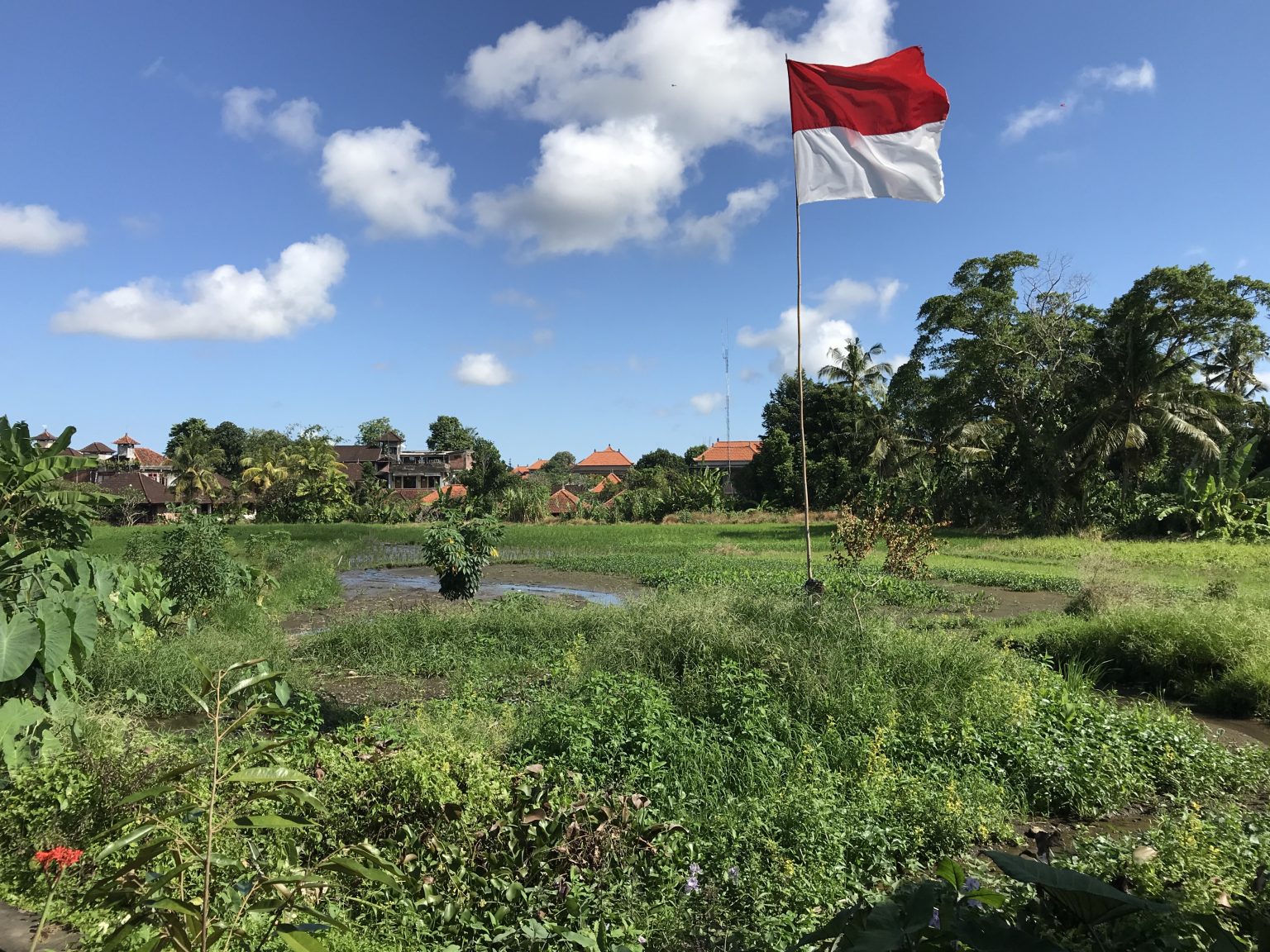 How to get a Visa on Arrival (E-VoA) for Bali & Indonesia - CARRY ON ONLY