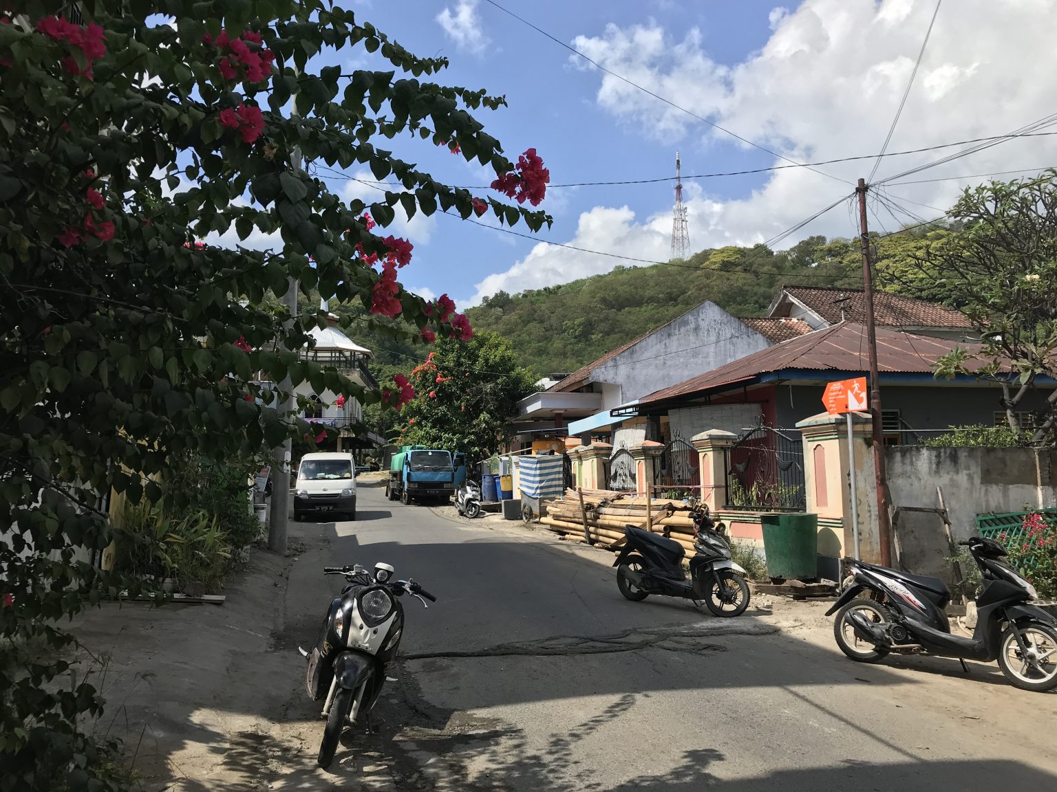 Vegan Food Guide to Labuan Bajo, Komodo Islands - CARRY ON ONLY