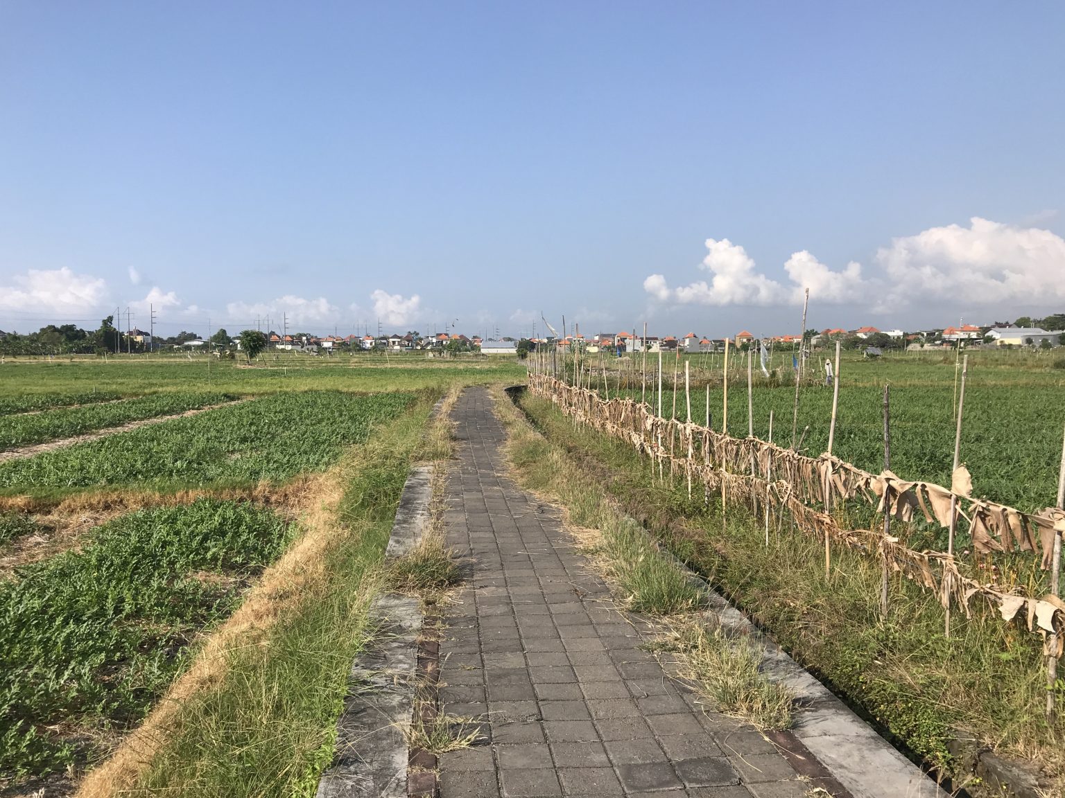 Cycling in Sanur Bali - CARRY ON ONLY
