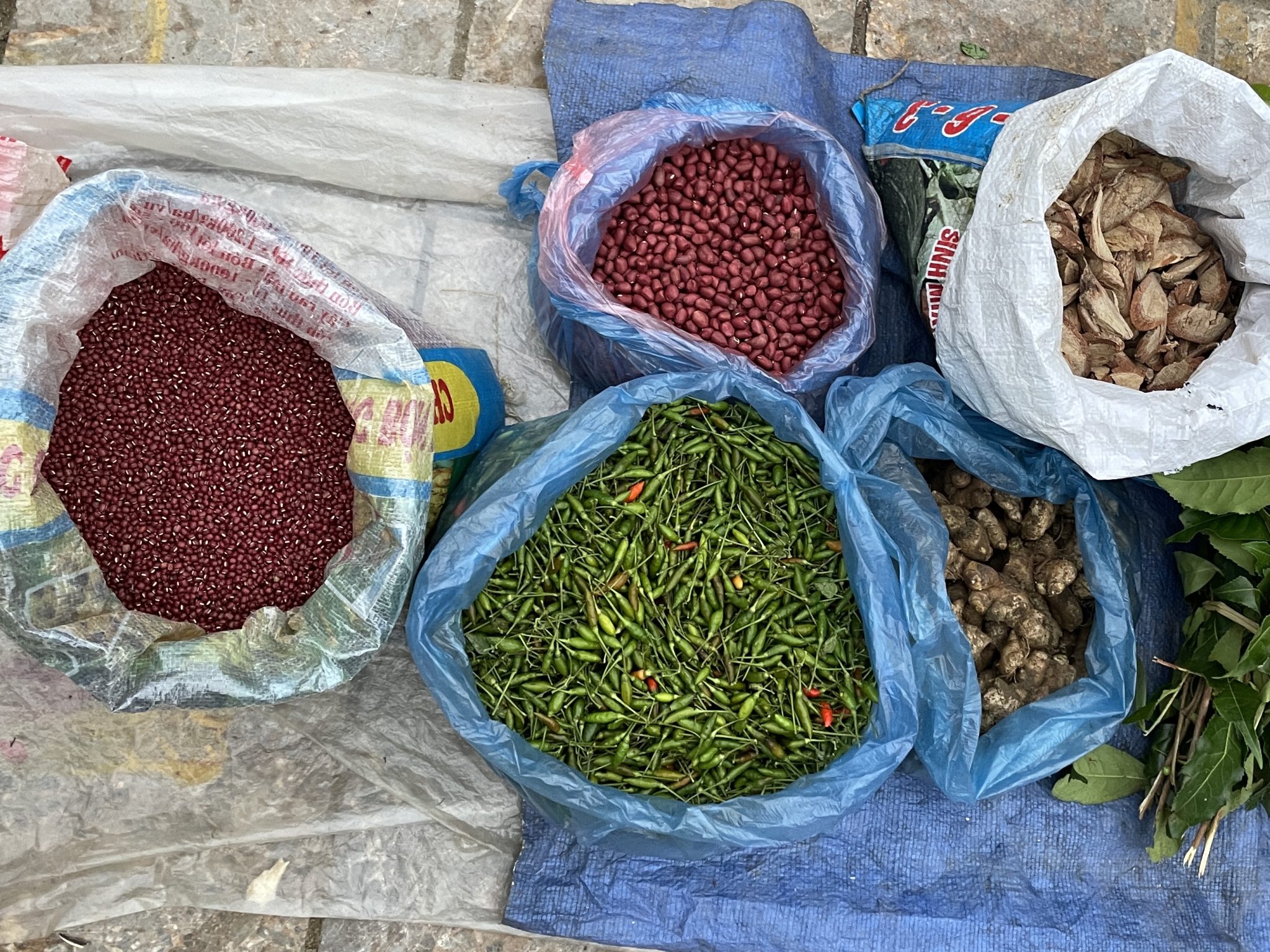 Ultimate Guide to Visiting the Bac Ha Market in Vietnam - CARRY ON ONLY