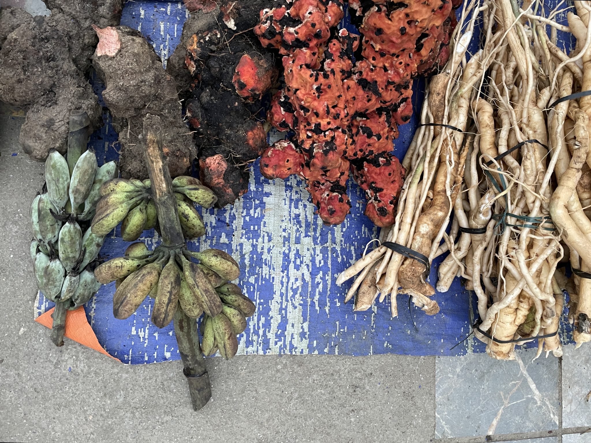 Ultimate Guide to Visiting the Bac Ha Market in Vietnam - CARRY ON ONLY