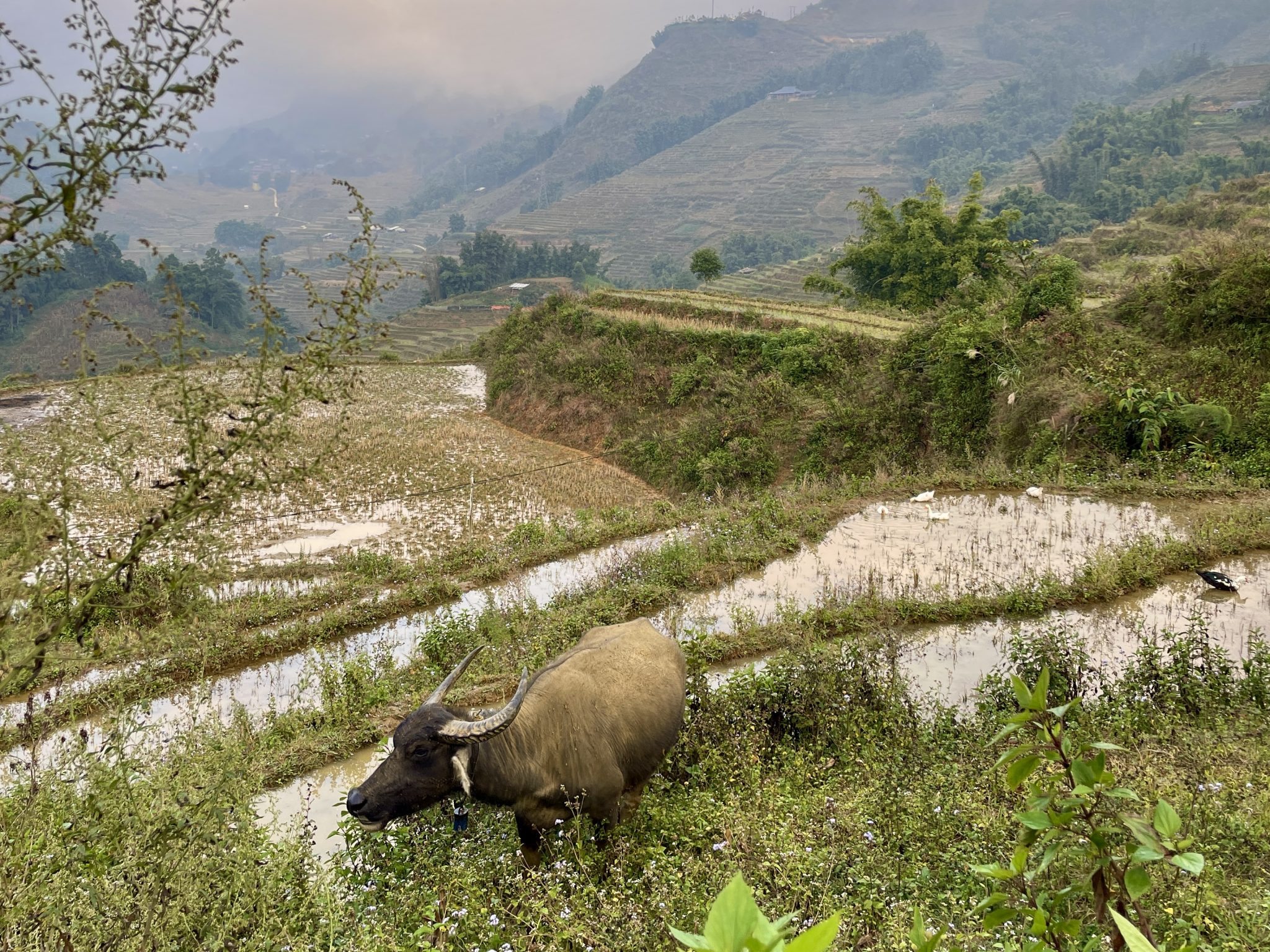 How to Trek in Sapa Without a Guide - CARRY ON ONLY