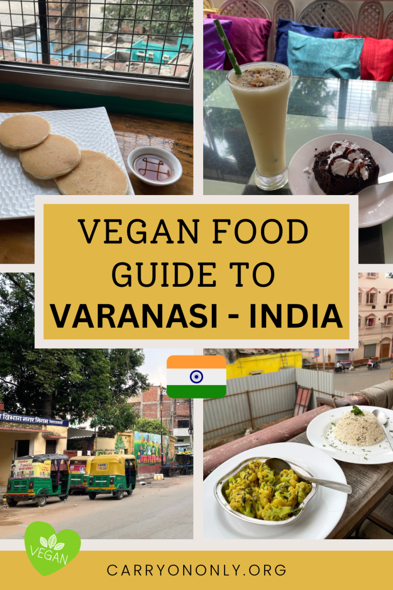 Vegan Food Guide to Varanasi India - CARRY ON ONLY