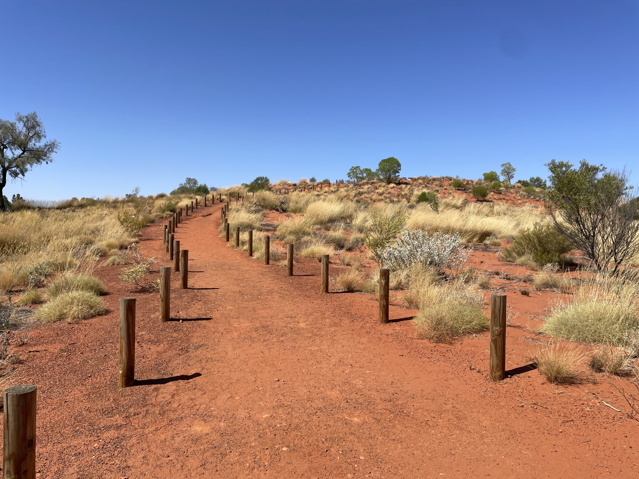 Vegan Food Guide to Uluru - Yulara (Ayers Rock Resort) - CARRY ON ONLY